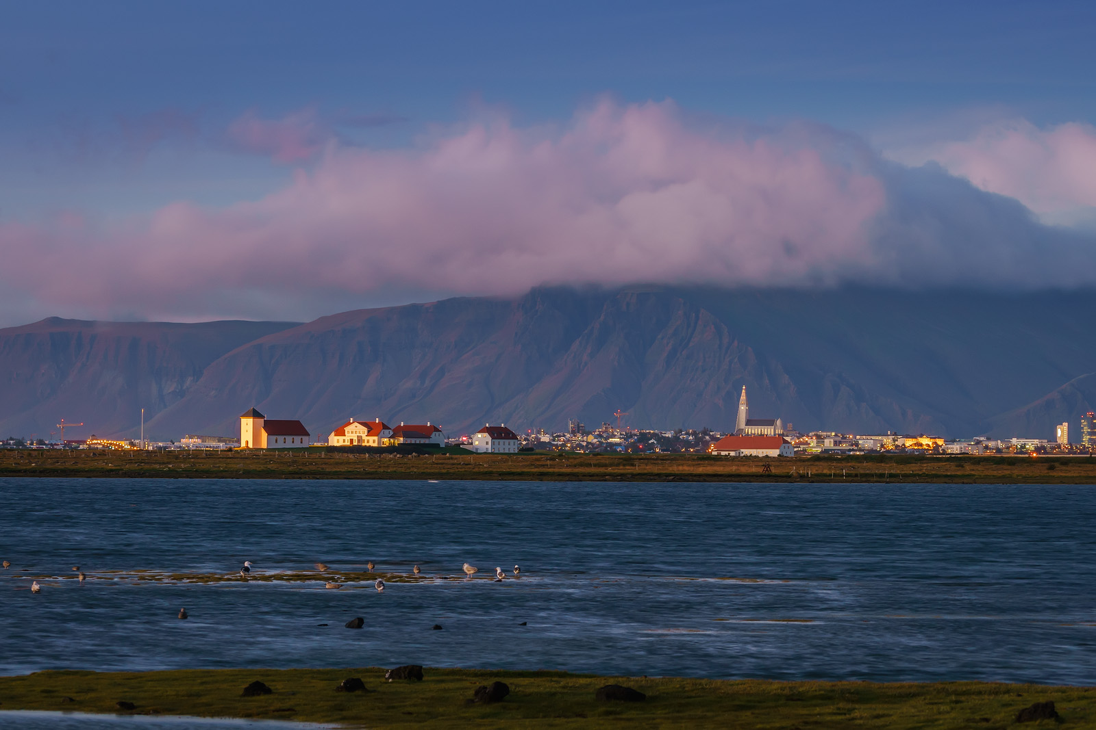 Greater Reykjavik Area, Álftanes & Hafnarfjörður | Evening Tour